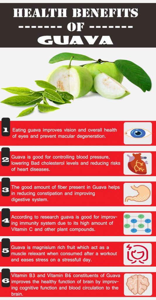 Guava Fruit Nutrition Facts and Health Benefits - UPaae