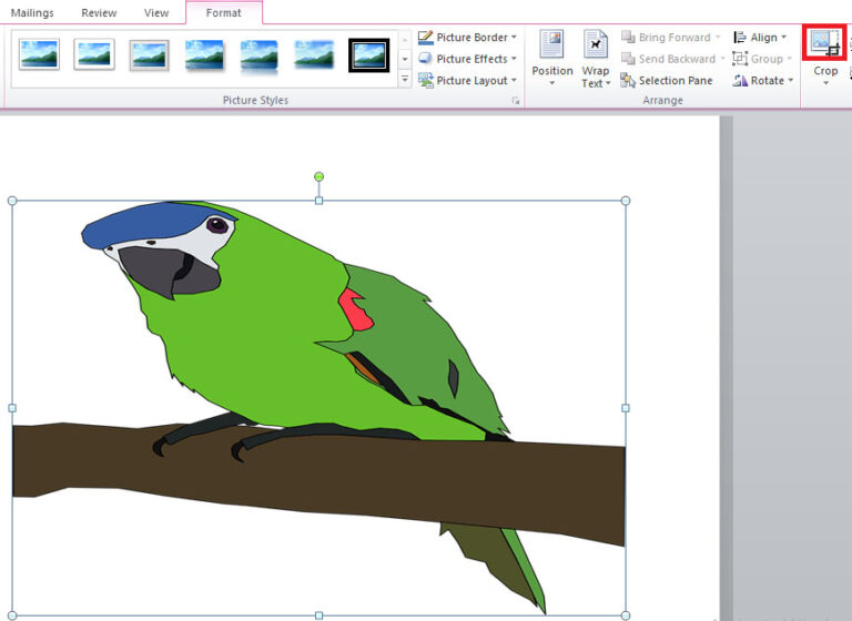 How to Crop Pictures in Word - UPaae